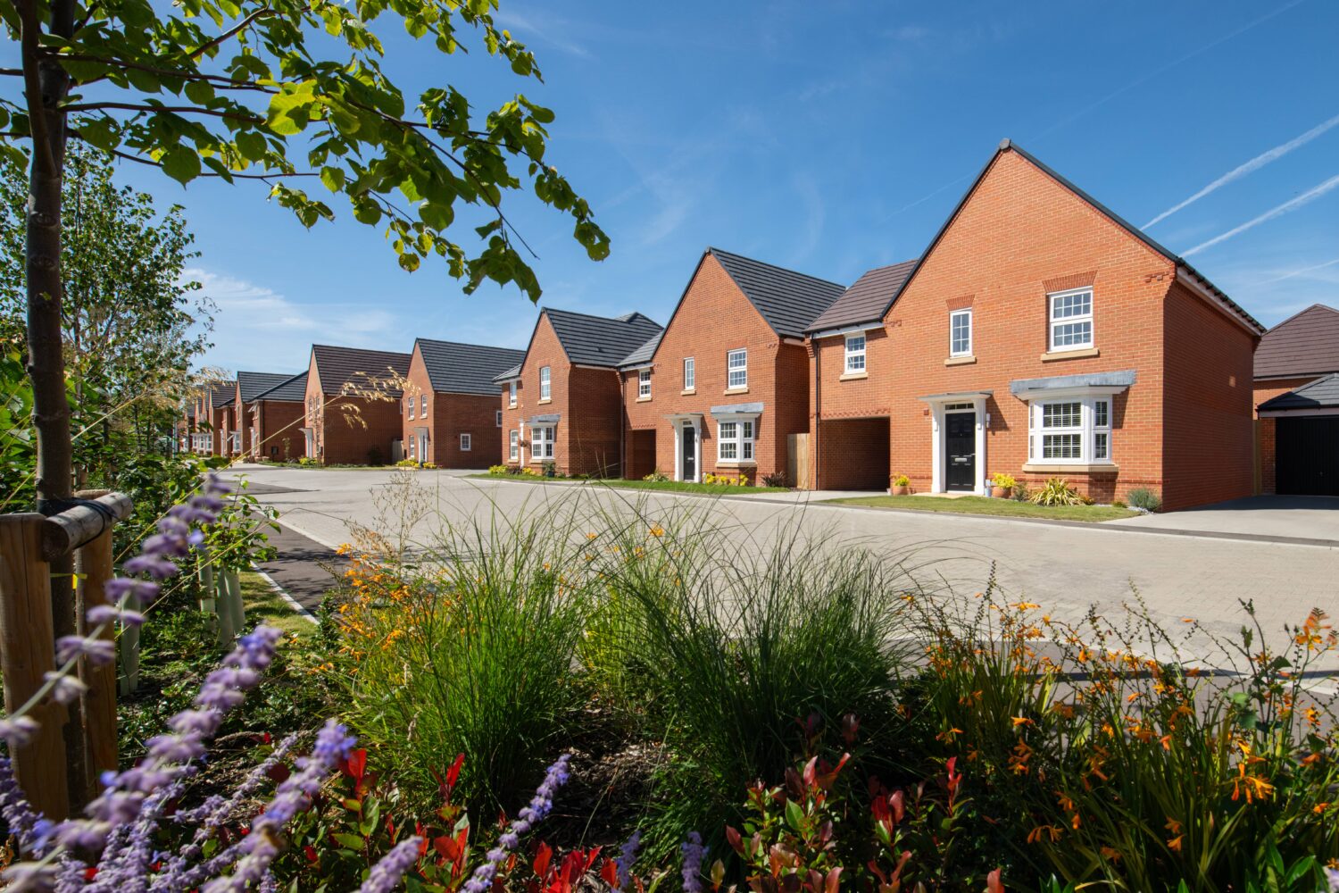 David Wilson Homes · Barratt Careers